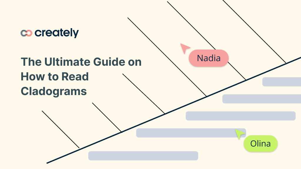 How to Read Cladograms: The Complete Guide | Creately