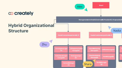 Hybrid Organizational Structure: The Complete Guide with Examples ...
