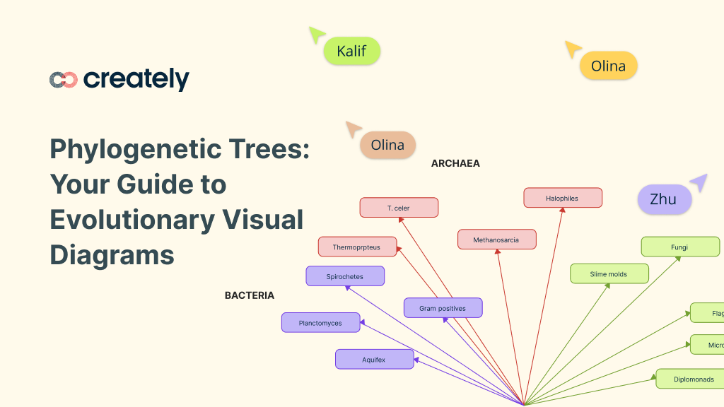 Phylogenetic Trees: Your Guide to Evolutionary Visual Diagrams | Creately