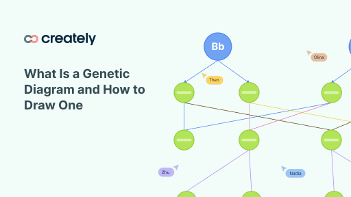 What Is a Genetic Diagram and How to Draw One | Creately