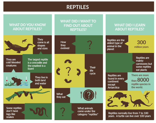 KWL Chart Maker | Easily Create KWL Charts Online | Creately